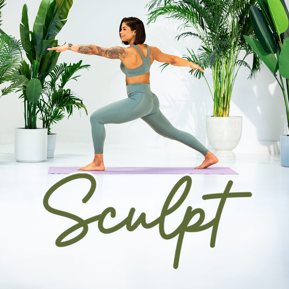 Why It's the Perfect time to Start Our New Program; Sculpt – Tru ...
